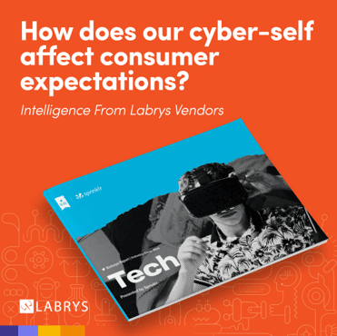 How Does Our Cyber-self Affect Consumer Expectations – Labrys Consulting